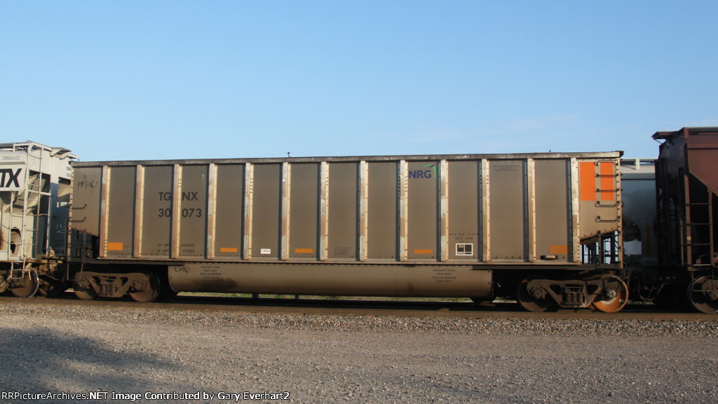 TGNX 30073 - NRG Energy